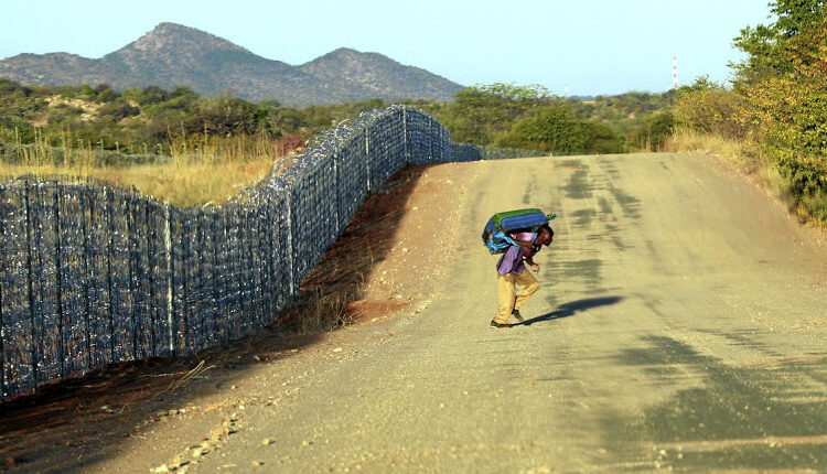 'We cut it in 5 minutes' Zimbabwean border jumpers laugh at new R37m ...